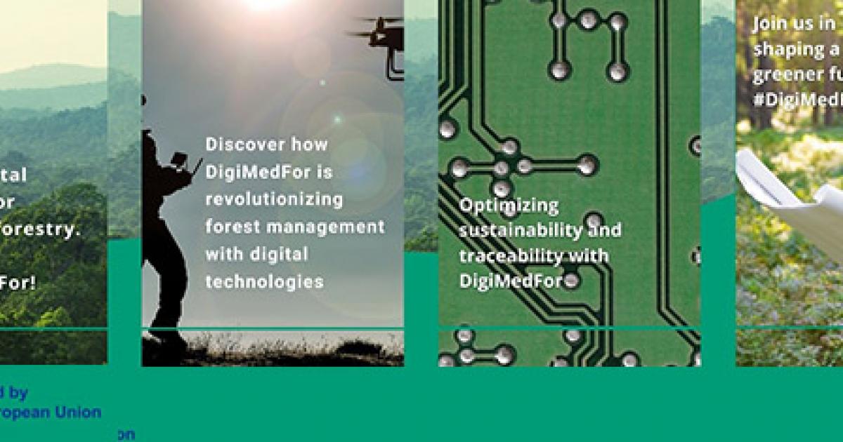 DigiMedFor busca aliados para la sostenibilidad de los bosques y para una industria de la madera ...